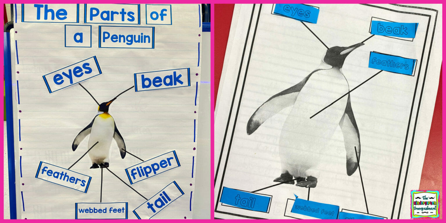 Schedulin Sunday: Penguins And Comparing Numbers – The Kindergarten ...