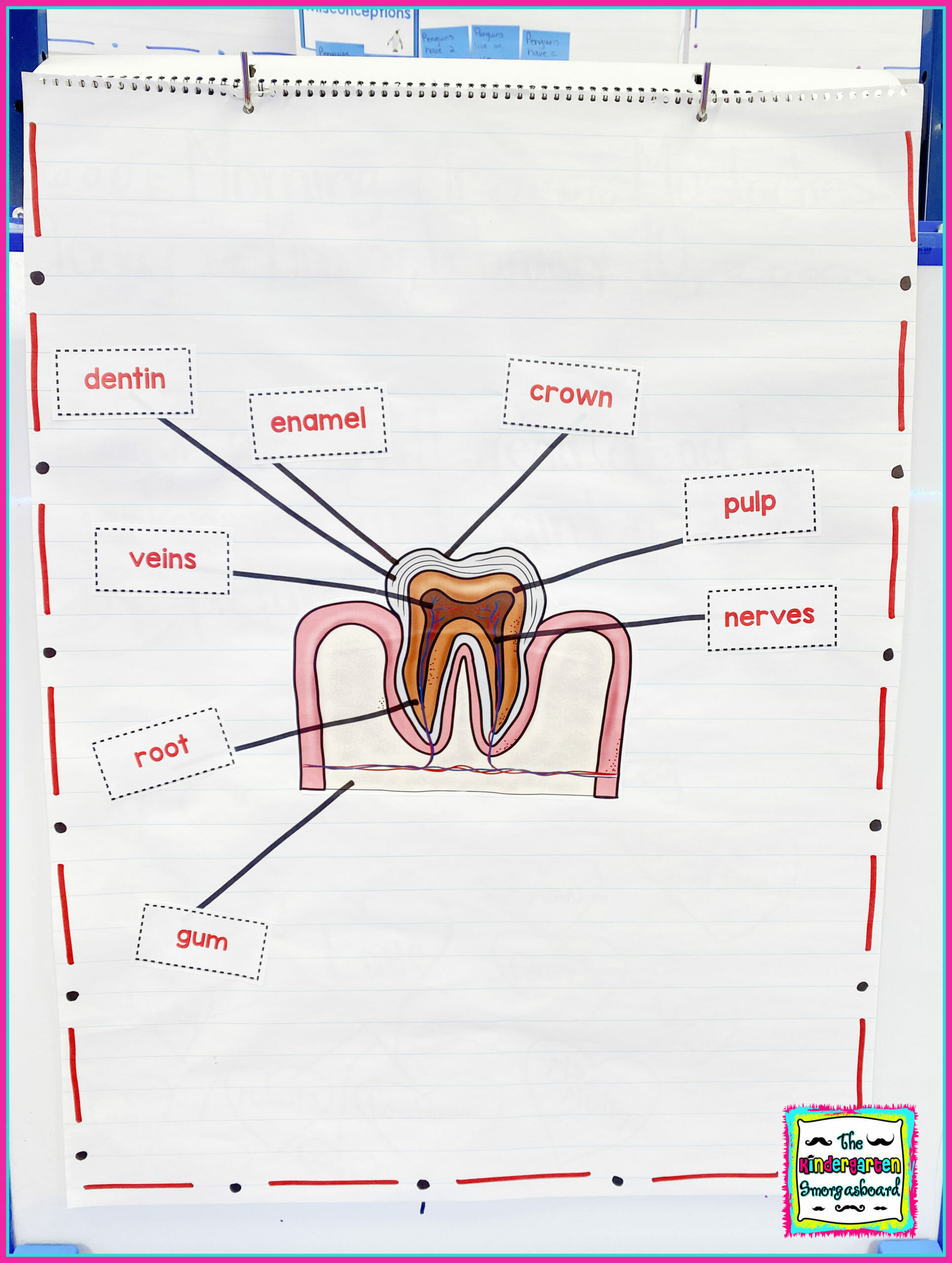 science-lessons-on-teeth – The Kindergarten Smorgasboard