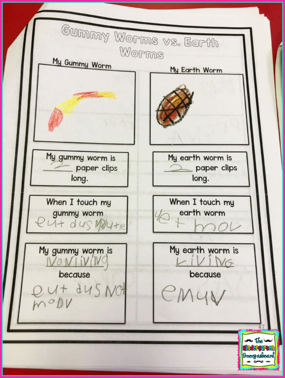 comparing-earthworms-and-gummy-worms – The Kindergarten Smorgasboard