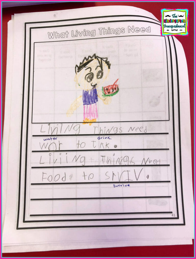 Living And Non-Living Things – The Kindergarten Smorgasboard