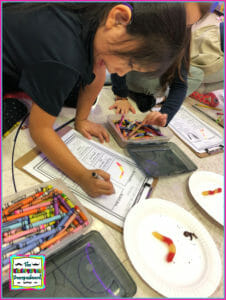 Living And Non-Living Things – The Kindergarten Smorgasboard