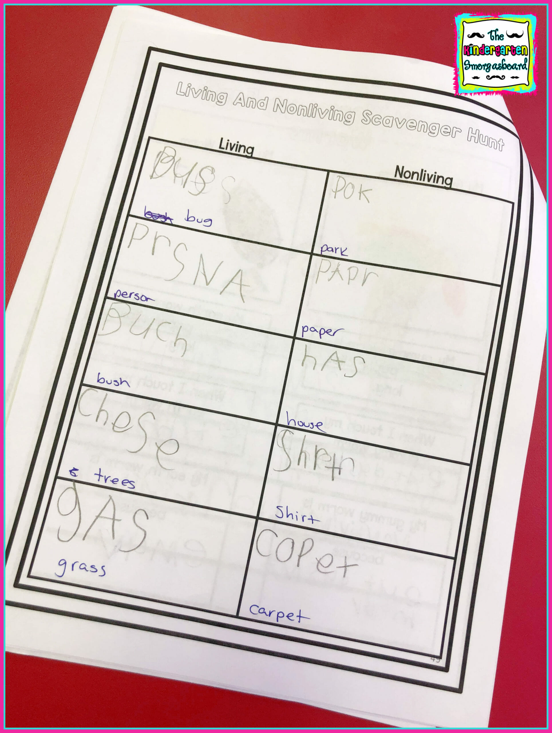 living-and-non-living-scavenger-hunt-1 – The Kindergarten Smorgasboard