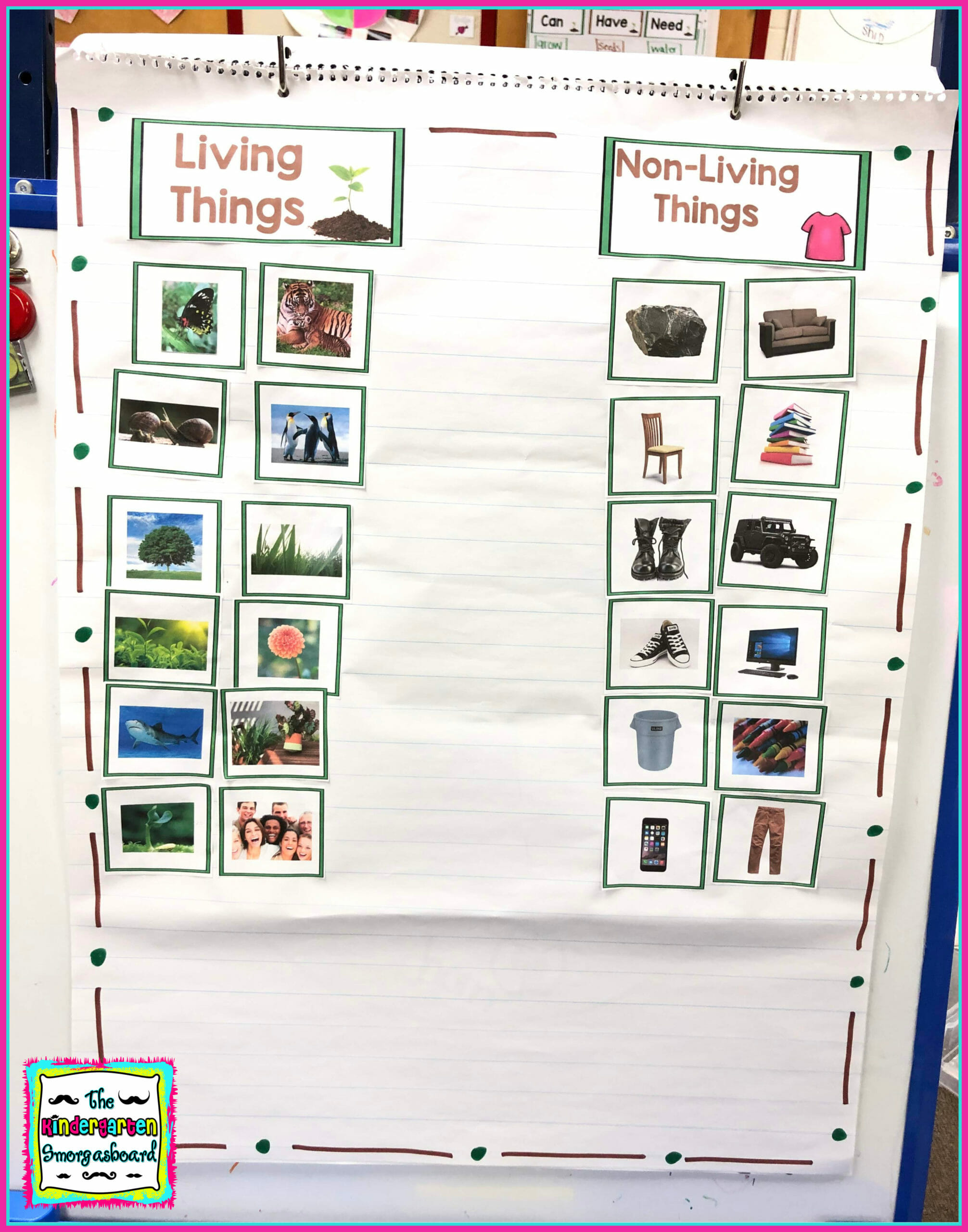 living-and-non-living-sort – The Kindergarten Smorgasboard