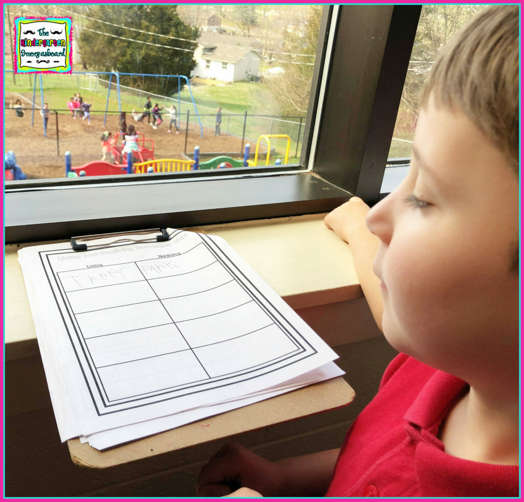 Living And Non-Living Things – The Kindergarten Smorgasboard