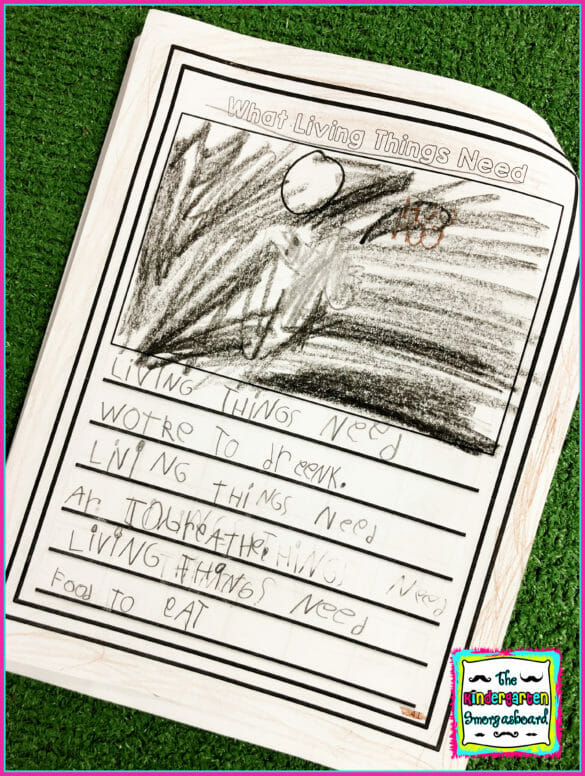 Living And Non-Living Things – The Kindergarten Smorgasboard