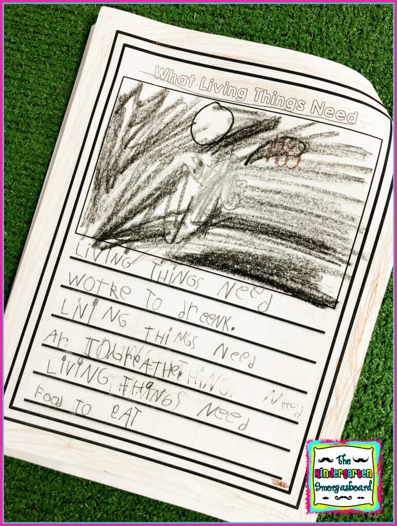 Living And Non-Living Things – The Kindergarten Smorgasboard