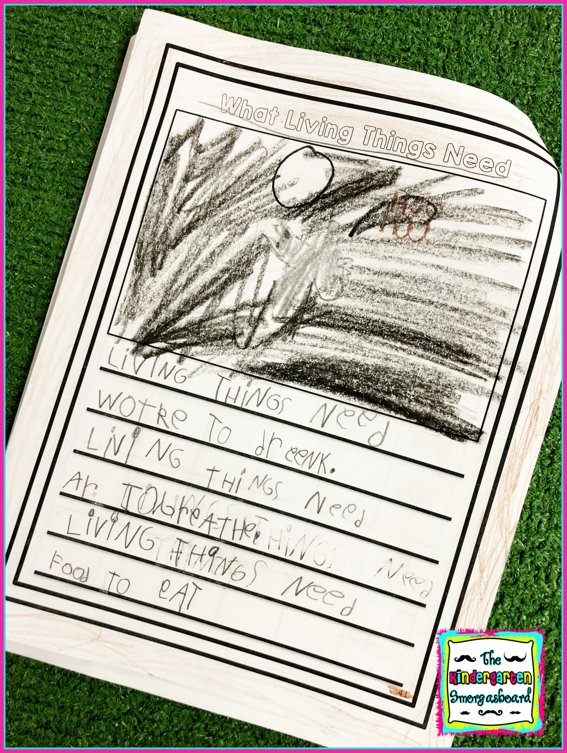 Living And Non-Living Things – The Kindergarten Smorgasboard