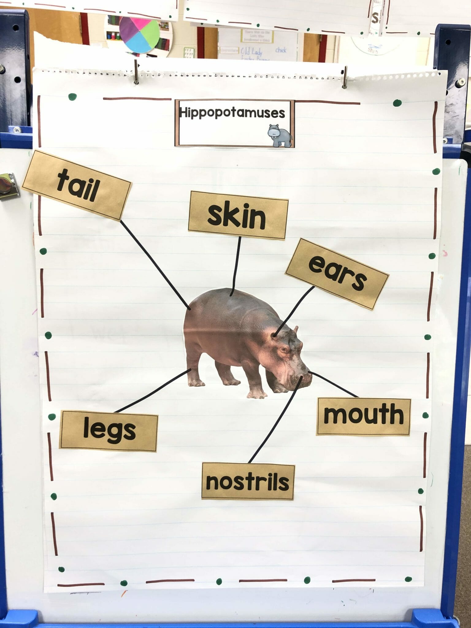 Schedulin Sunday: Teen Numbers And Animals – The Kindergarten Smorgasboard