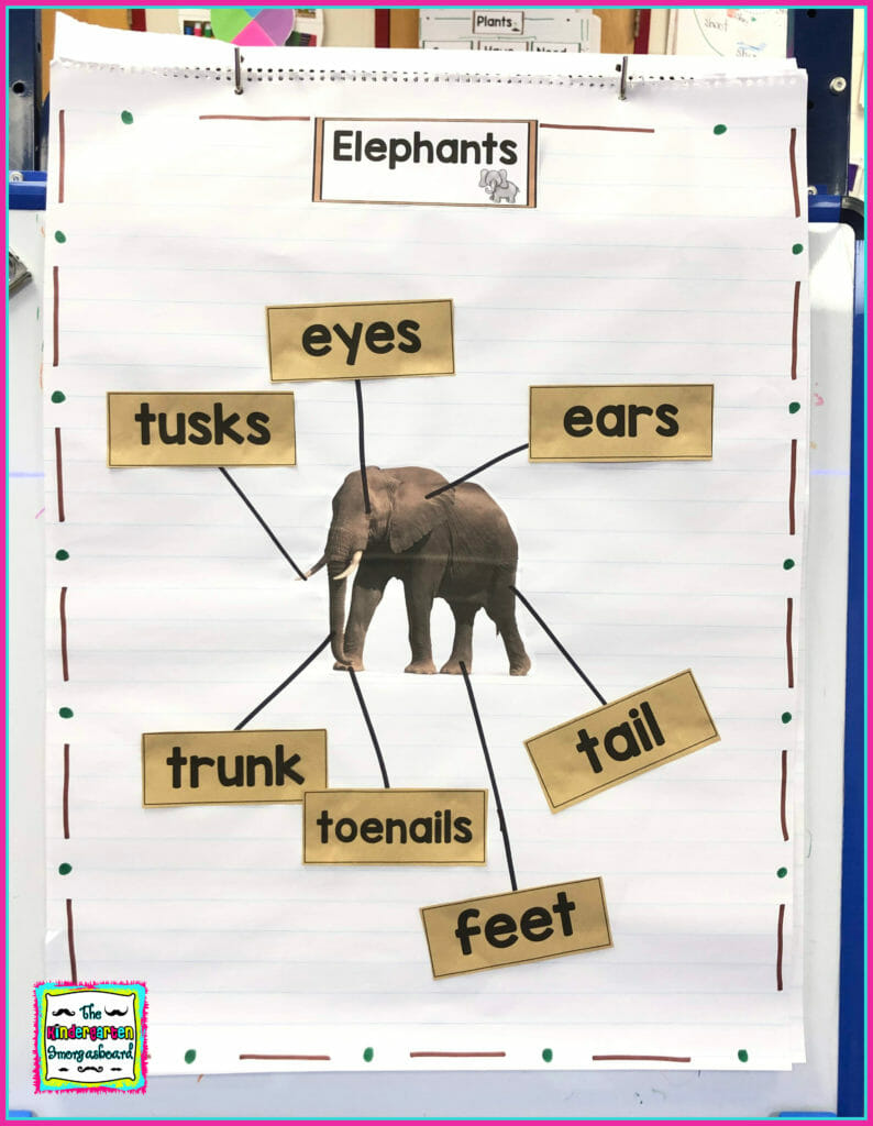 Schedulin Sunday: Animals And Making 10 – The Kindergarten Smorgasboard