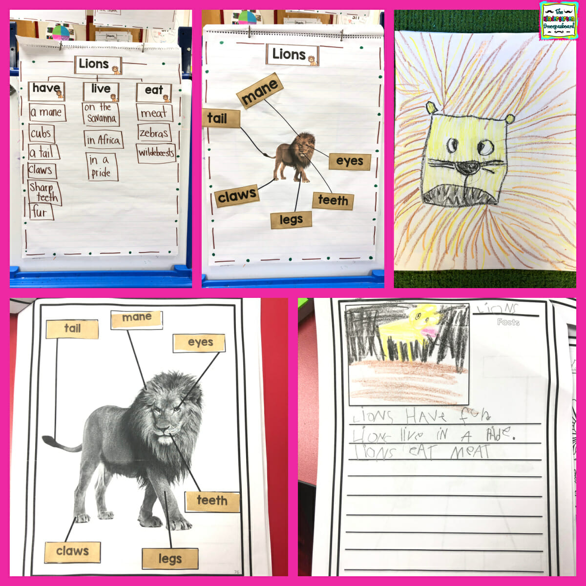 Schedulin Sunday: Animals And Making 10 – The Kindergarten Smorgasboard