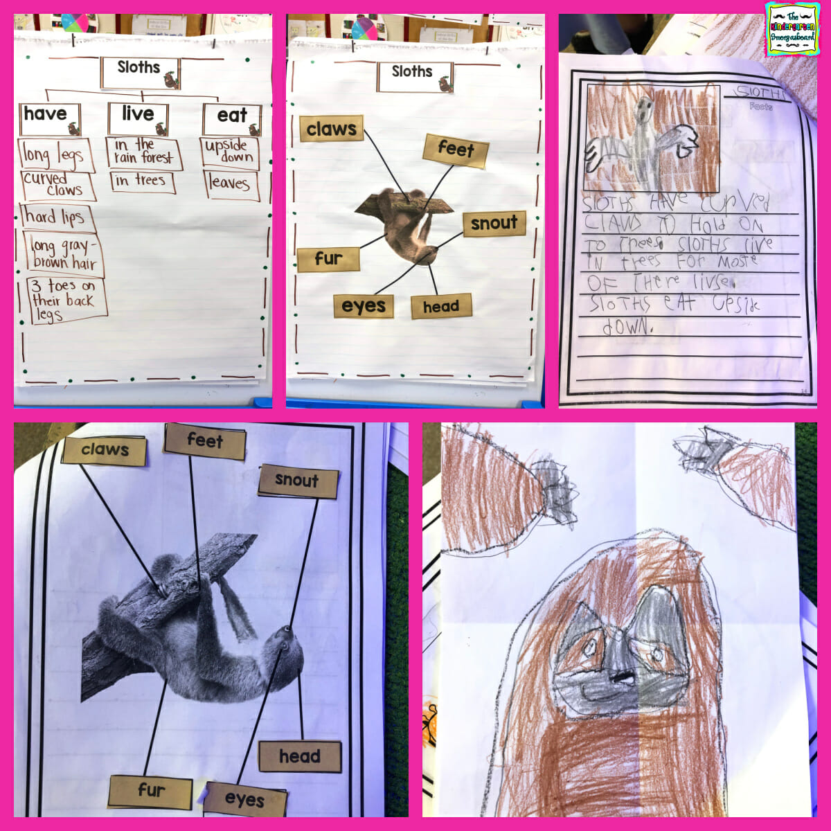 kindergarten-animal-activities – The Kindergarten Smorgasboard