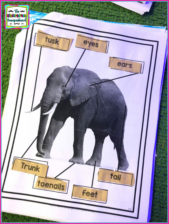 Schedulin Sunday: Animals And Making 10 – The Kindergarten Smorgasboard