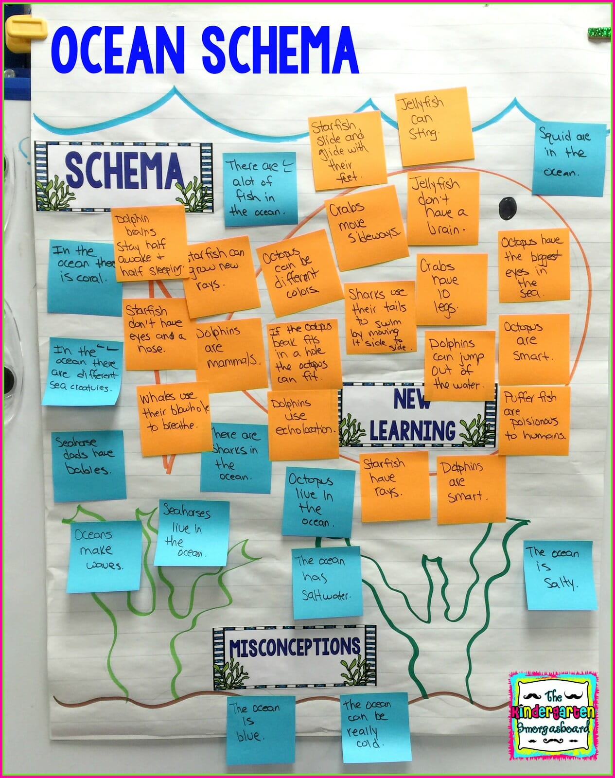 Schedulin Sunday: Ocean Animals And AR Words | The Kindergarten ...