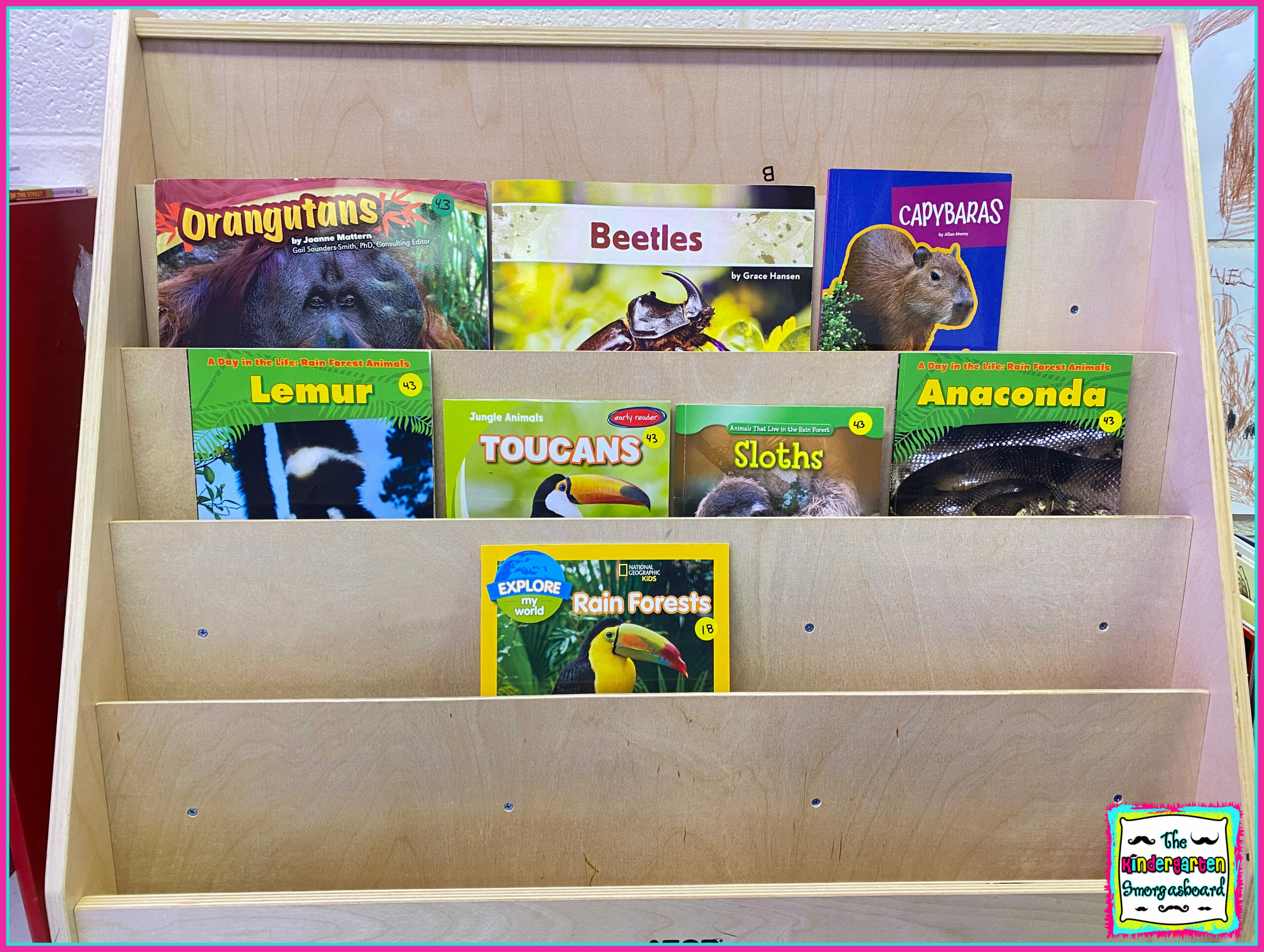rainforest-animals-books-1 – The Kindergarten Smorgasboard
