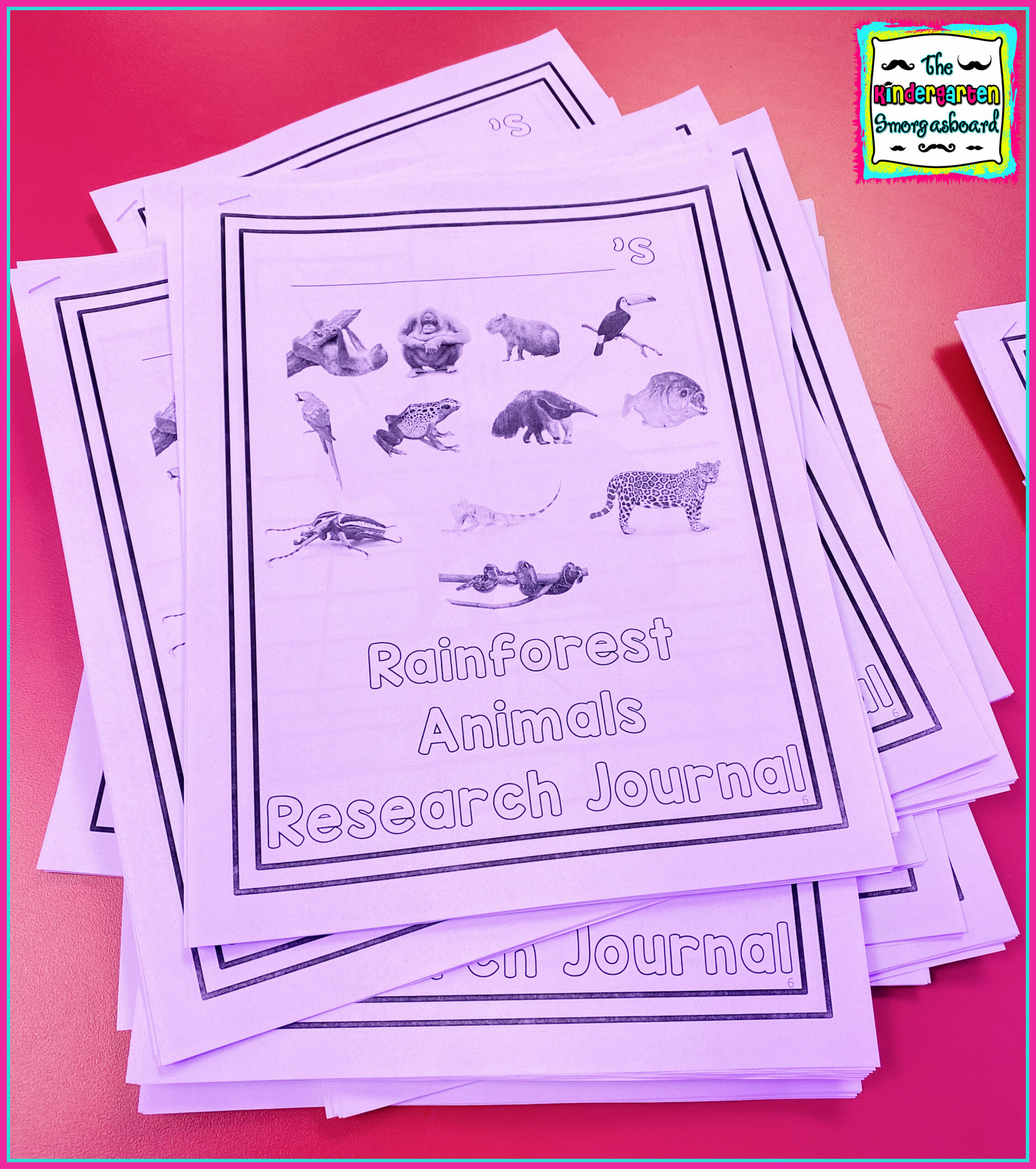 rainforest-research-project – The Kindergarten Smorgasboard