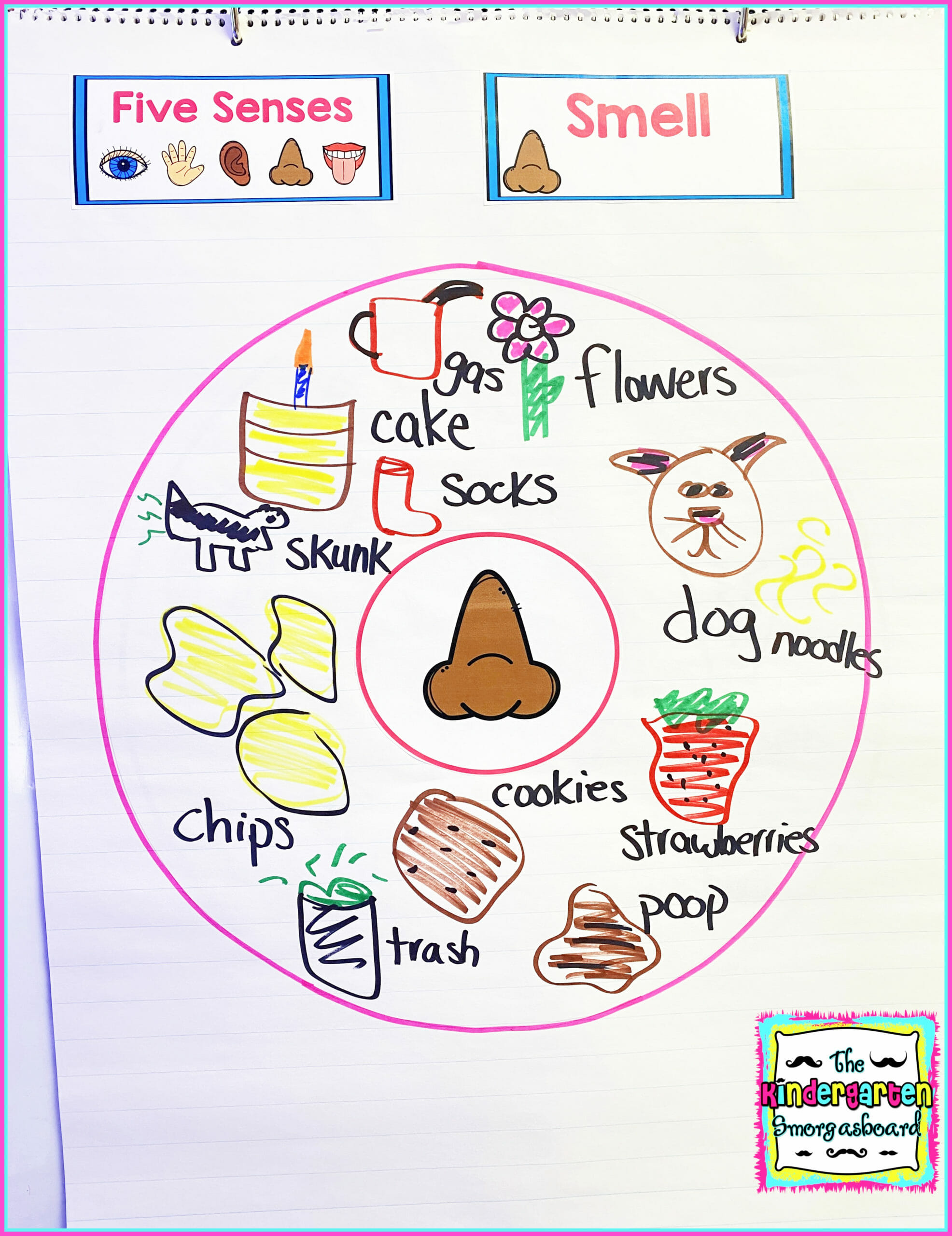 kindergarten-five-senses-activities – The Kindergarten Smorgasboard