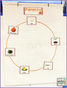 Schedulin Sunday: Pumpkins, Counting And CVC Words – The Kindergarten ...