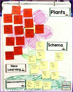 Schedulin Sunday: Plants, Vowels And Teen Numbers – The Kindergarten ...