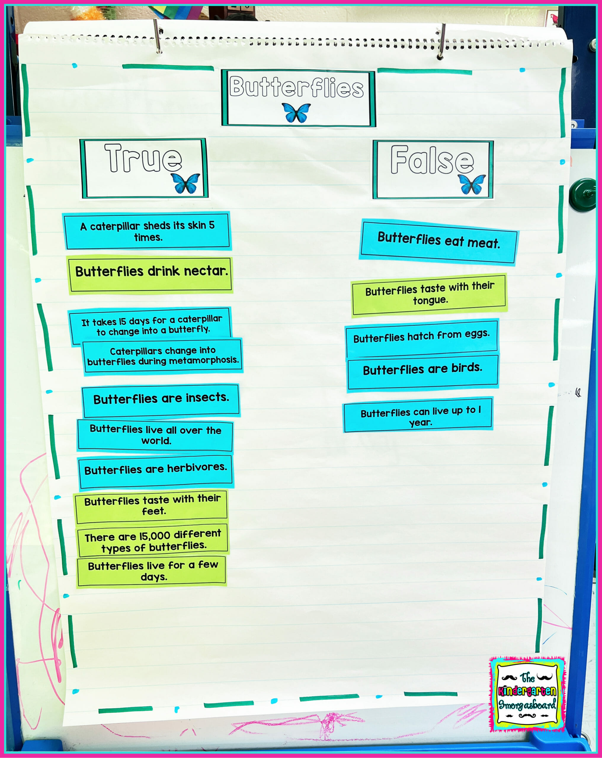 butterfly-unit-ideas – The Kindergarten Smorgasboard