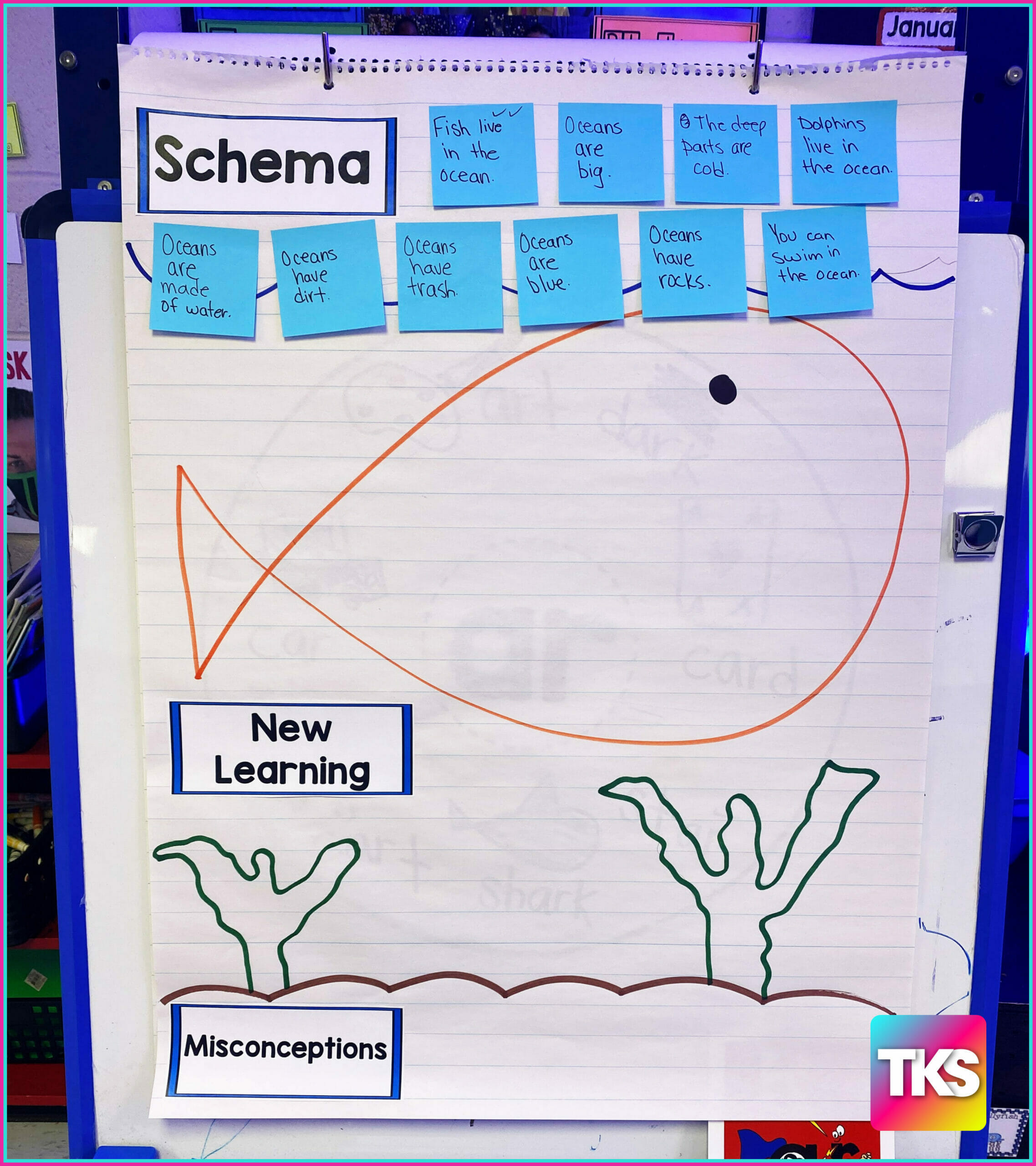ocean lesson plans for kids – The Kindergarten Smorgasboard