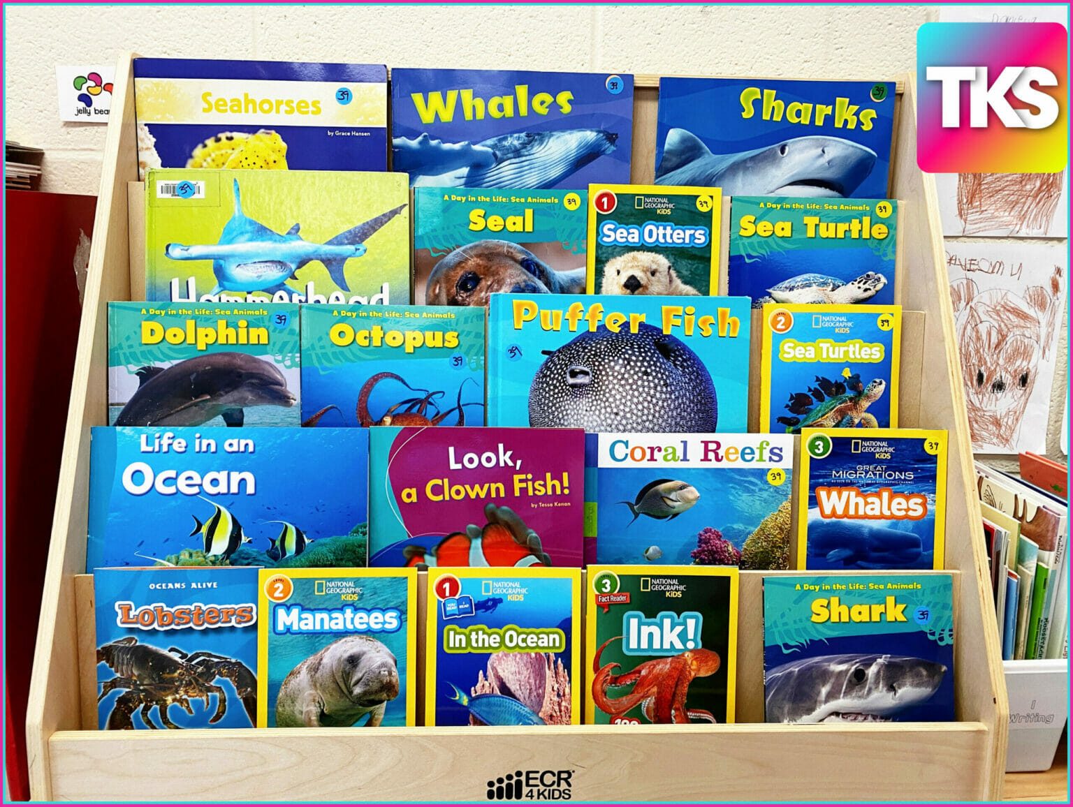 ocean read alouds for kids – The Kindergarten Smorgasboard