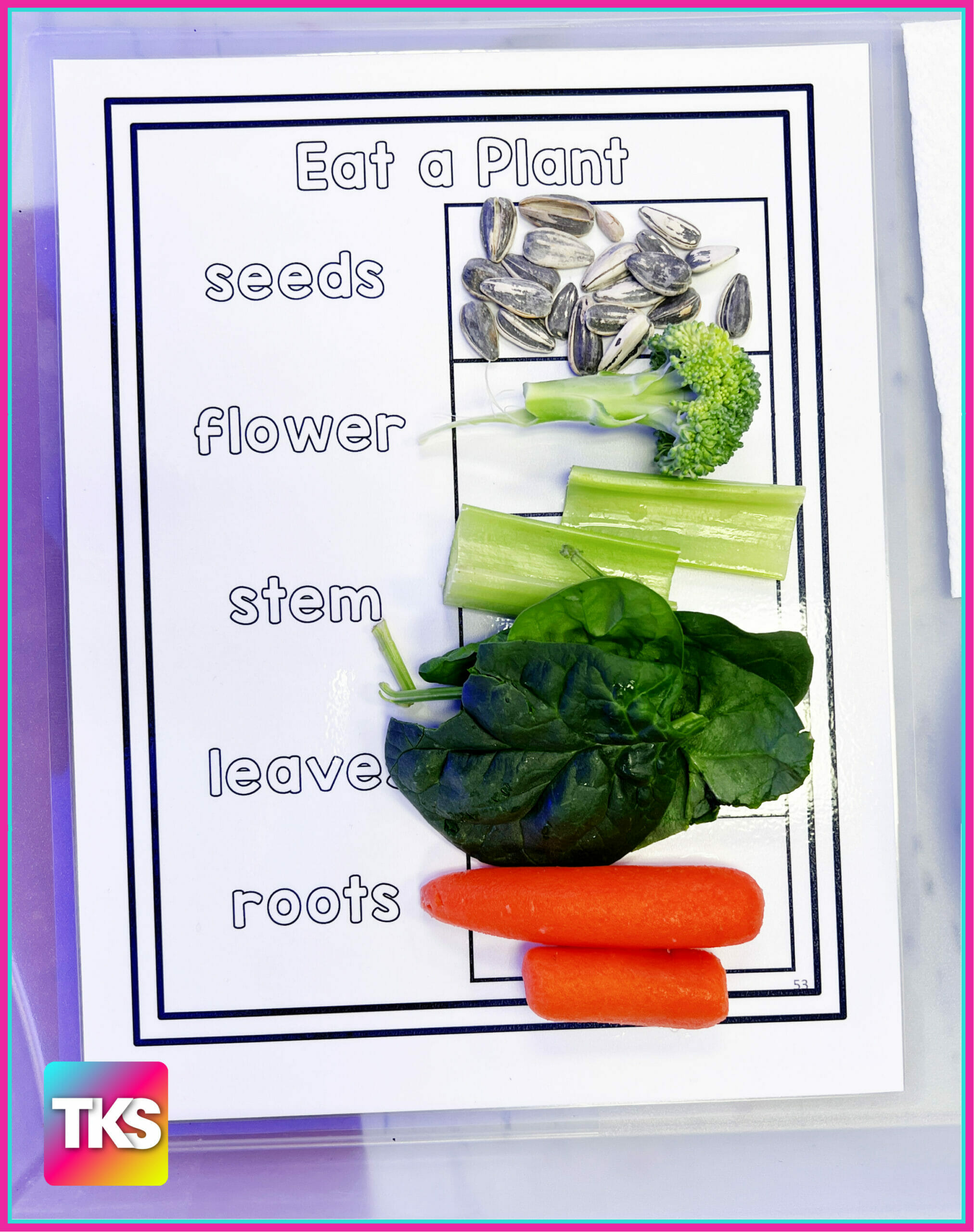 learning-about-plants-in-the-classroom – The Kindergarten Smorgasboard