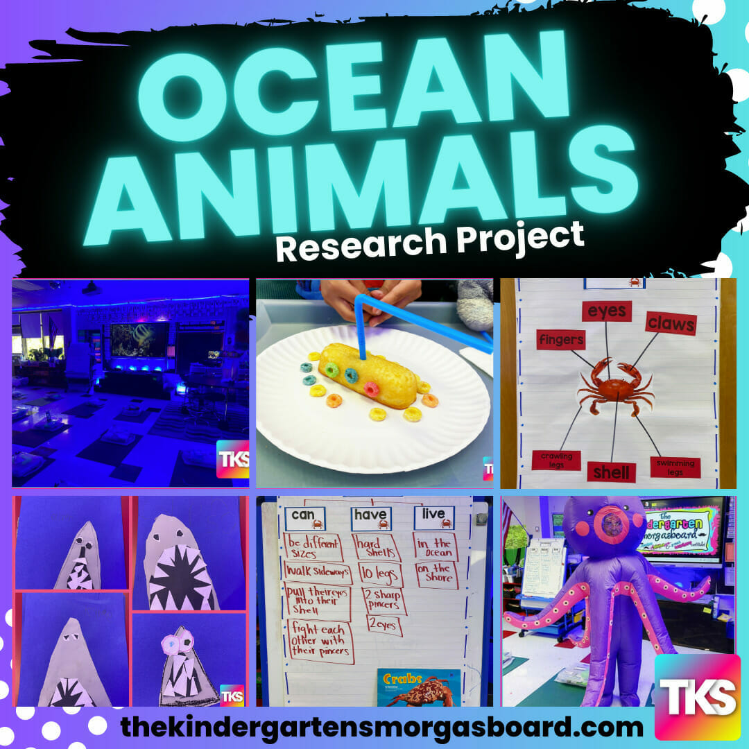 OCEAN ANIMALS RESEARCH PROJECT The Kindergarten Smorgasboard
