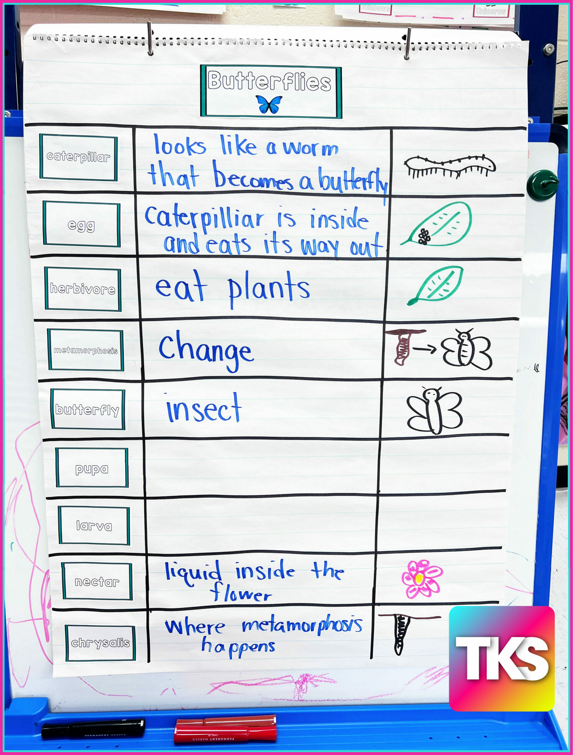 science-of-reading-vocabulary-lessons – The Kindergarten Smorgasboard