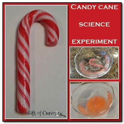 10bfa-candy-cane-science-experiment-header – The Kindergarten Smorgasboard