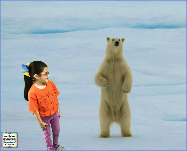 animal-week-green-screen-ideas – The Kindergarten Smorgasboard