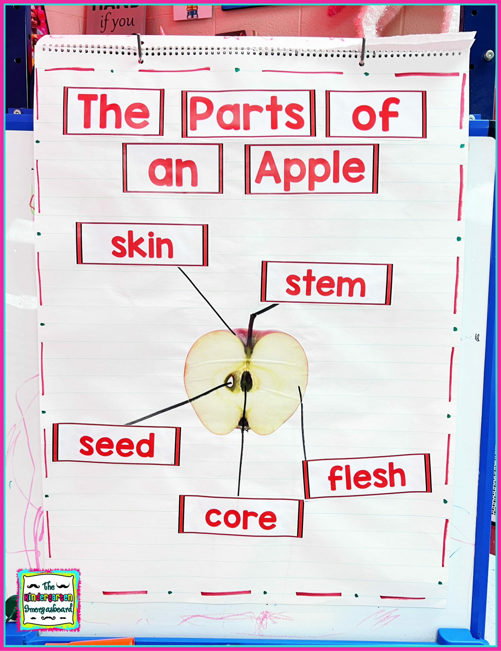 apple-labeling-and-vocabulary-scaled – The Kindergarten Smorgasboard