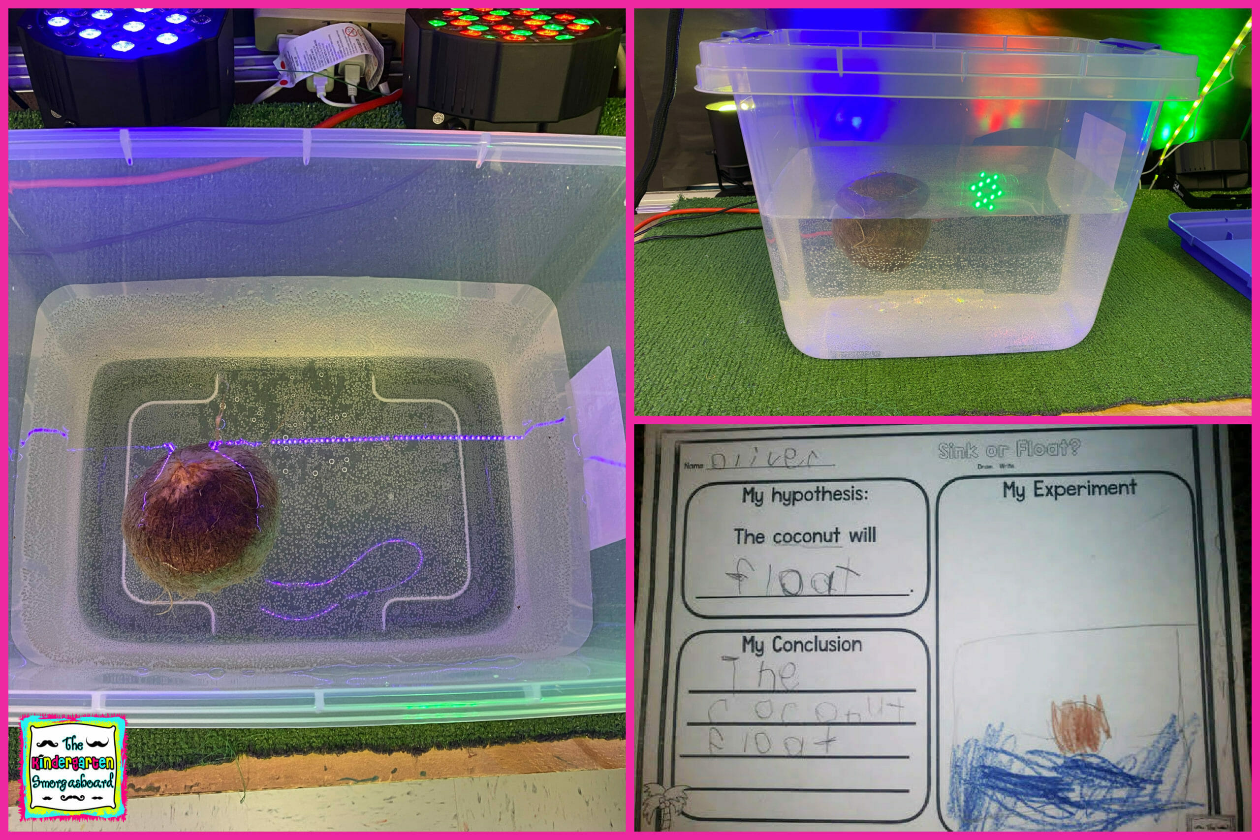 chicka-chicka-boom-boom-science-scaled – The Kindergarten Smorgasboard