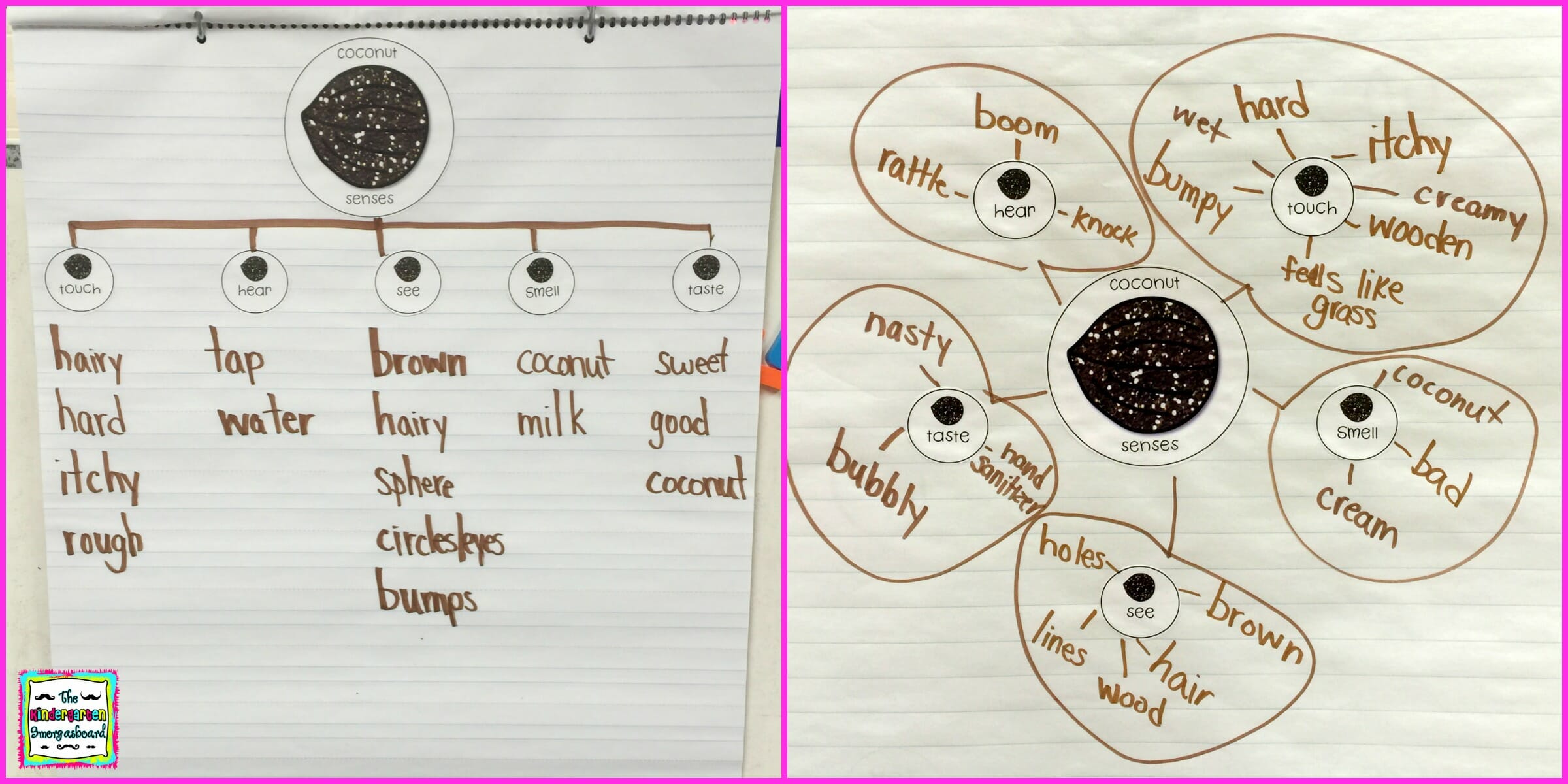 coconut-five-senses-anchor-charts – The Kindergarten Smorgasboard