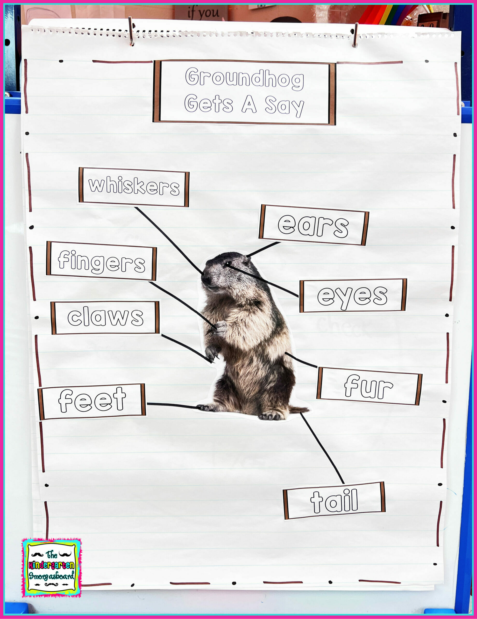groundhog-day-science-lessons-scaled – The Kindergarten Smorgasboard