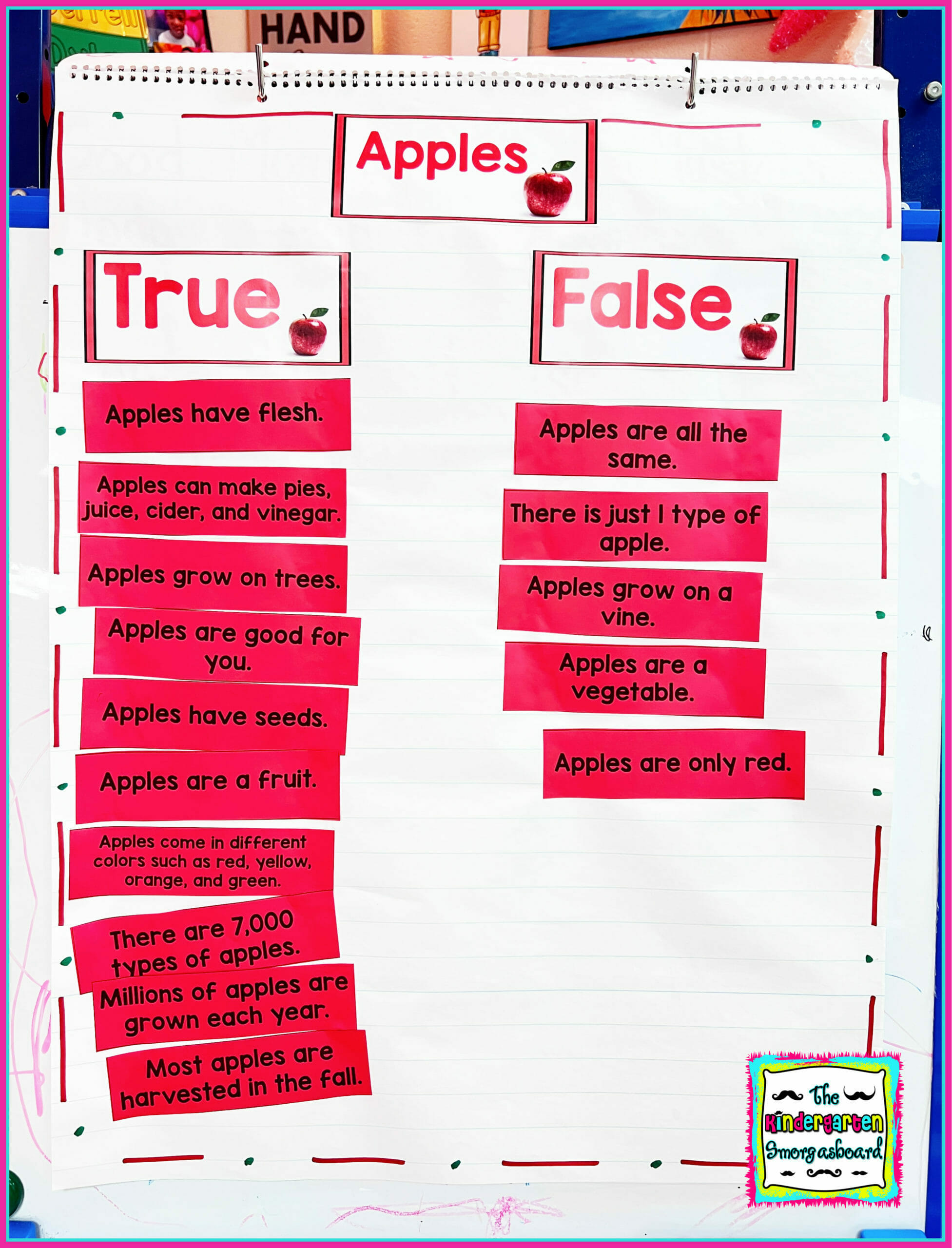 higher-order-thinking-activities-for-the-classroom-scaled – The ...