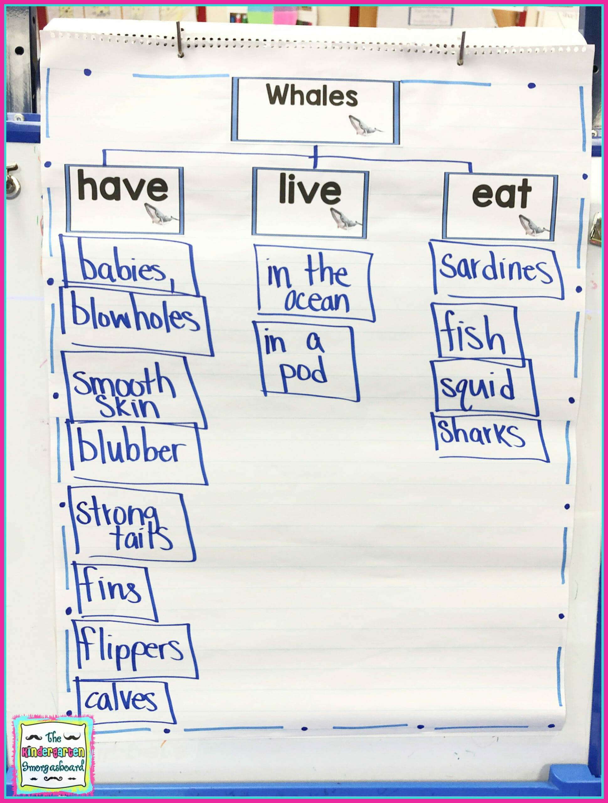 ocean-animals-research-project-1-scaled – The Kindergarten Smorgasboard