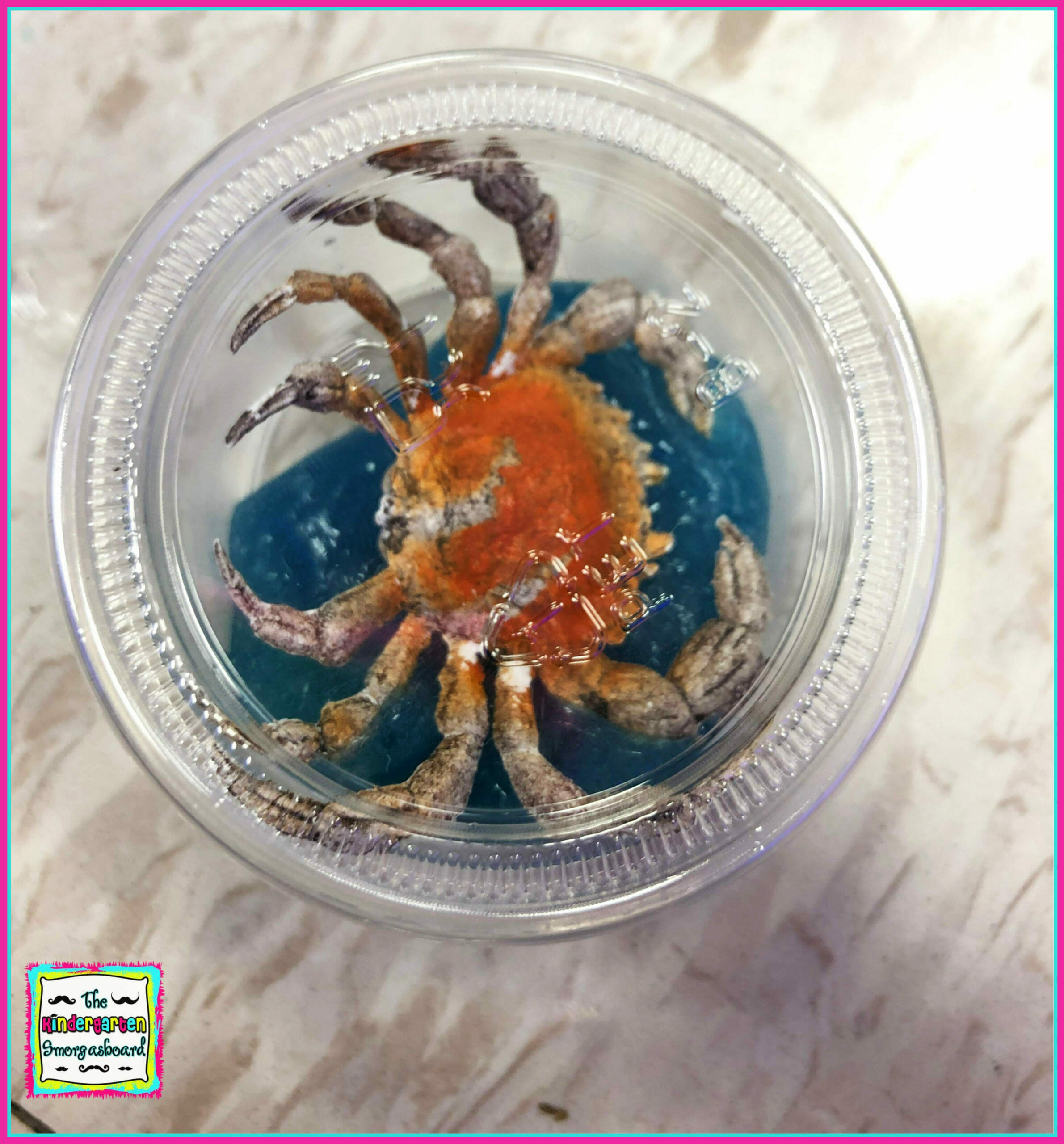 ocean-slime-for-kids-scaled – The Kindergarten Smorgasboard