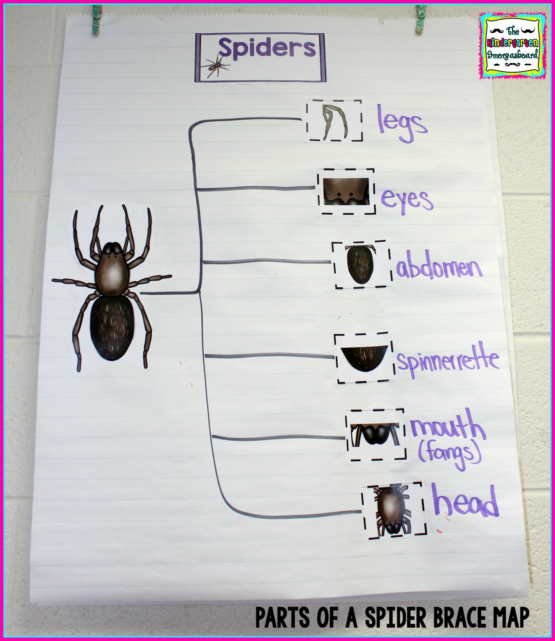 parts-of-a-spider-brace-map-1 – The Kindergarten Smorgasboard