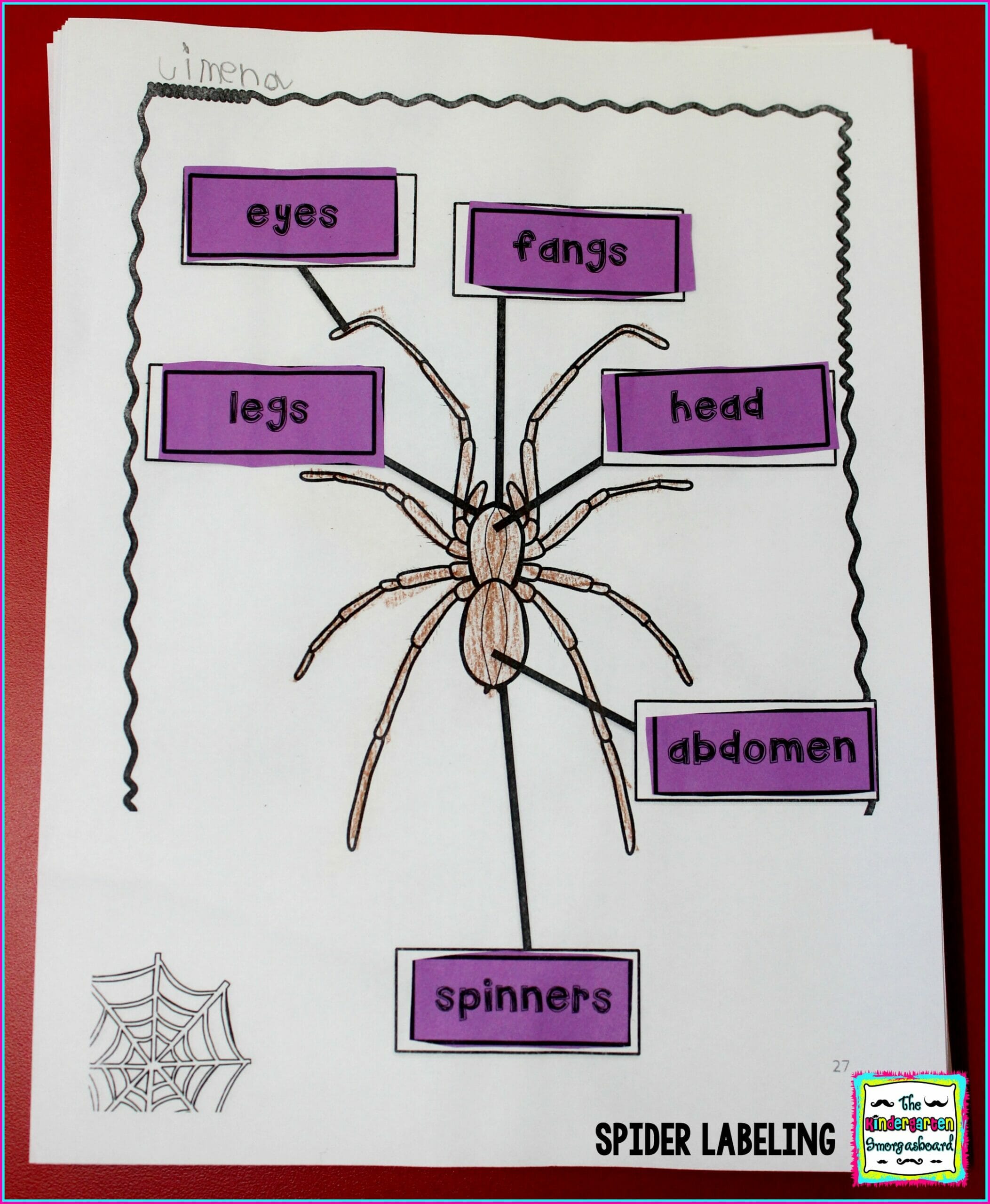 spider-labeling – The Kindergarten Smorgasboard