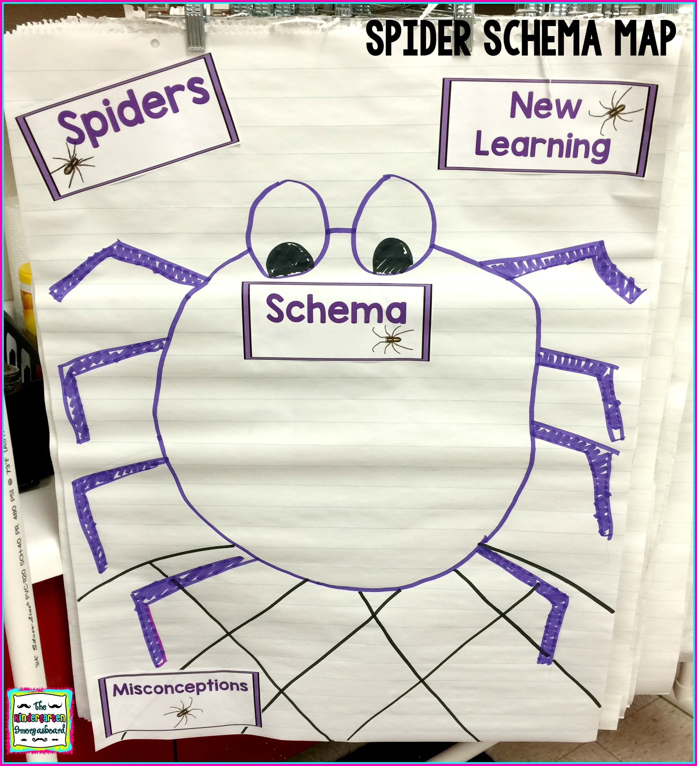 spider-schema-map – The Kindergarten Smorgasboard