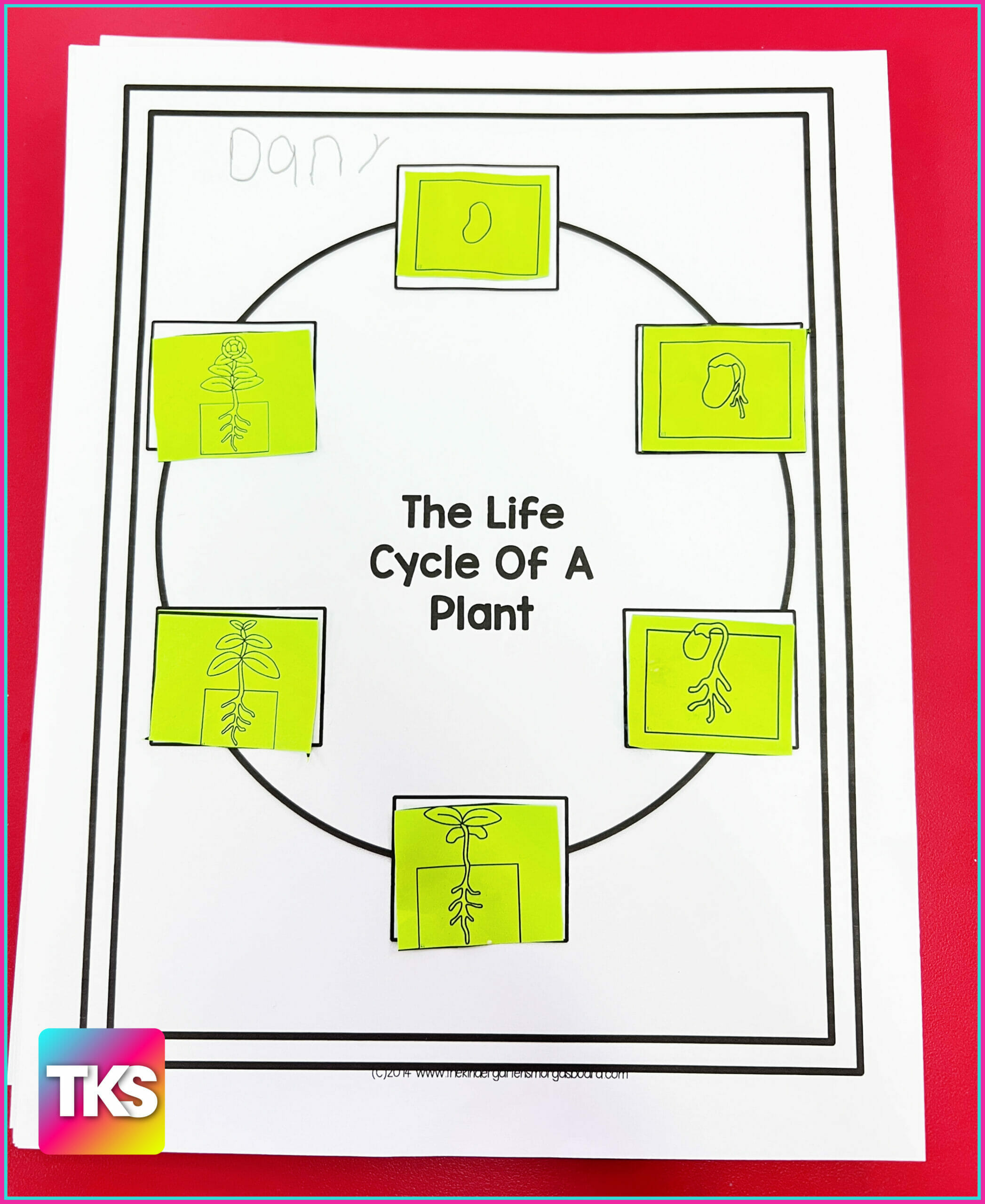 plant-unit-ideas-for-kids-scaled – The Kindergarten Smorgasboard