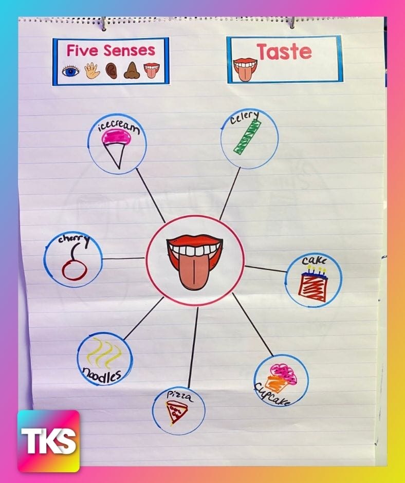 Five Senses Activities | The Kindergarten Smorgasboard
