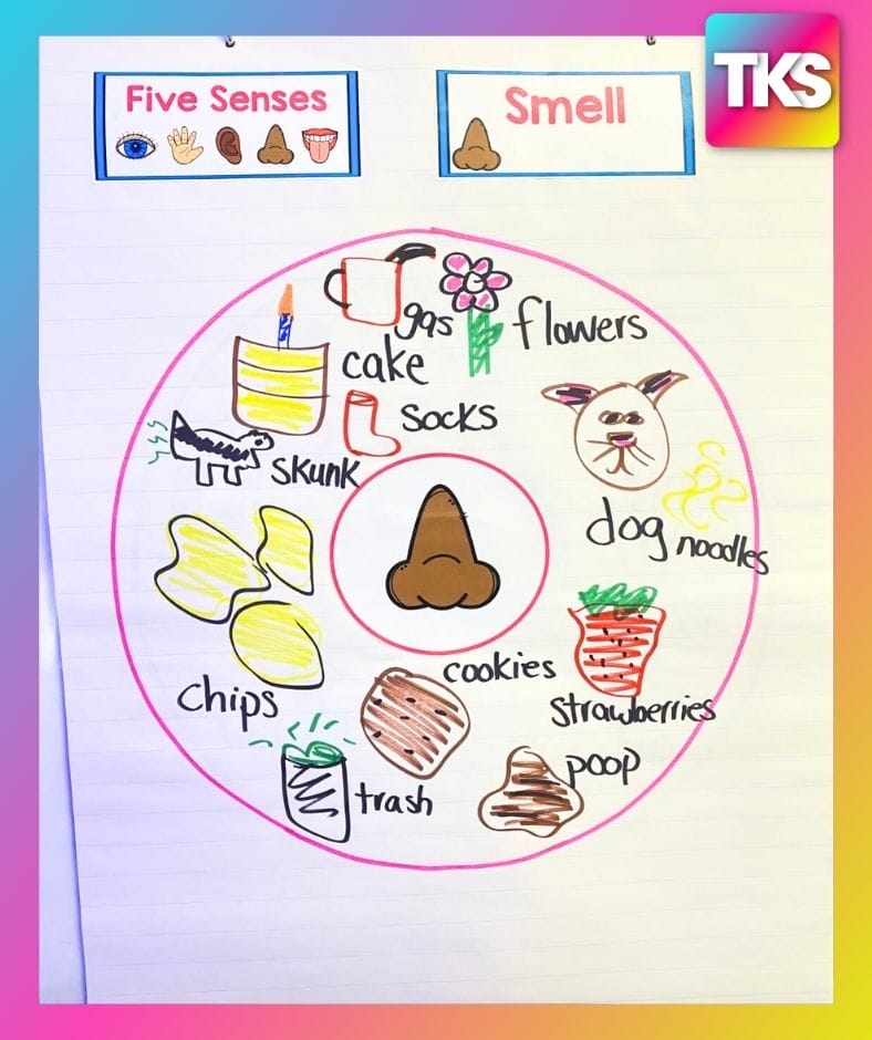 Five Senses Activities | The Kindergarten Smorgasboard