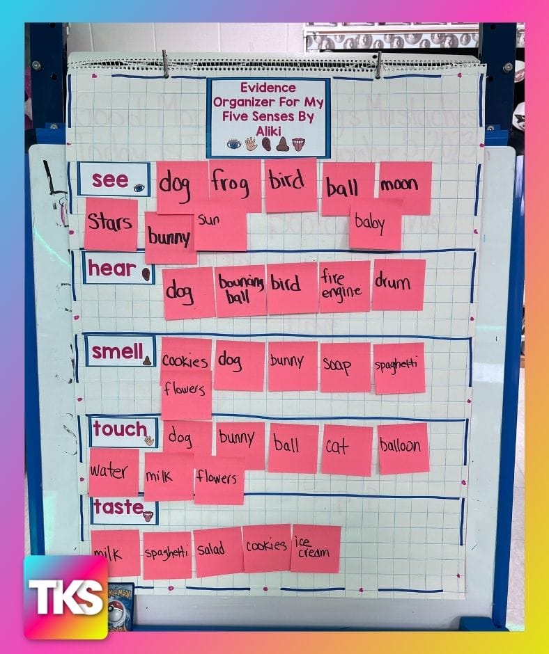 Five Senses Activities | The Kindergarten Smorgasboard