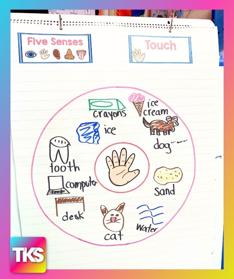 Five Senses Activities | The Kindergarten Smorgasboard