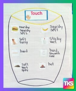 Schedulin’ Sunday: ABC BOOTCAMP, COUNTING AND FIVE SENSES – The ...