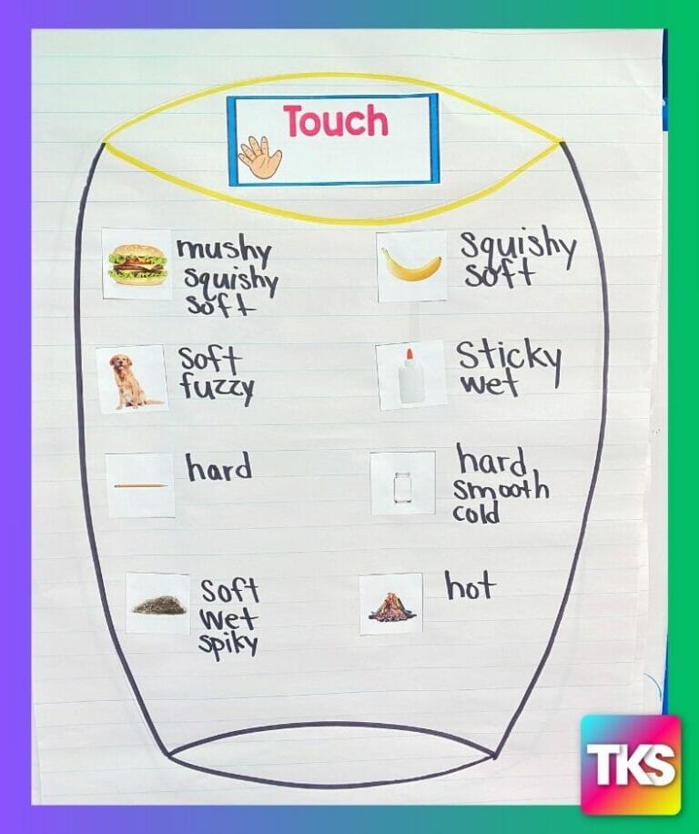 Schedulin’ Sunday: ABC BOOTCAMP, COUNTING AND FIVE SENSES – The ...