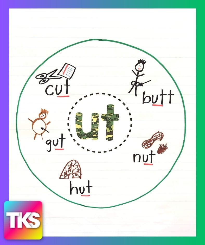 Kindergarten Phonics: Exploring CVC Words and Word Families | The ...