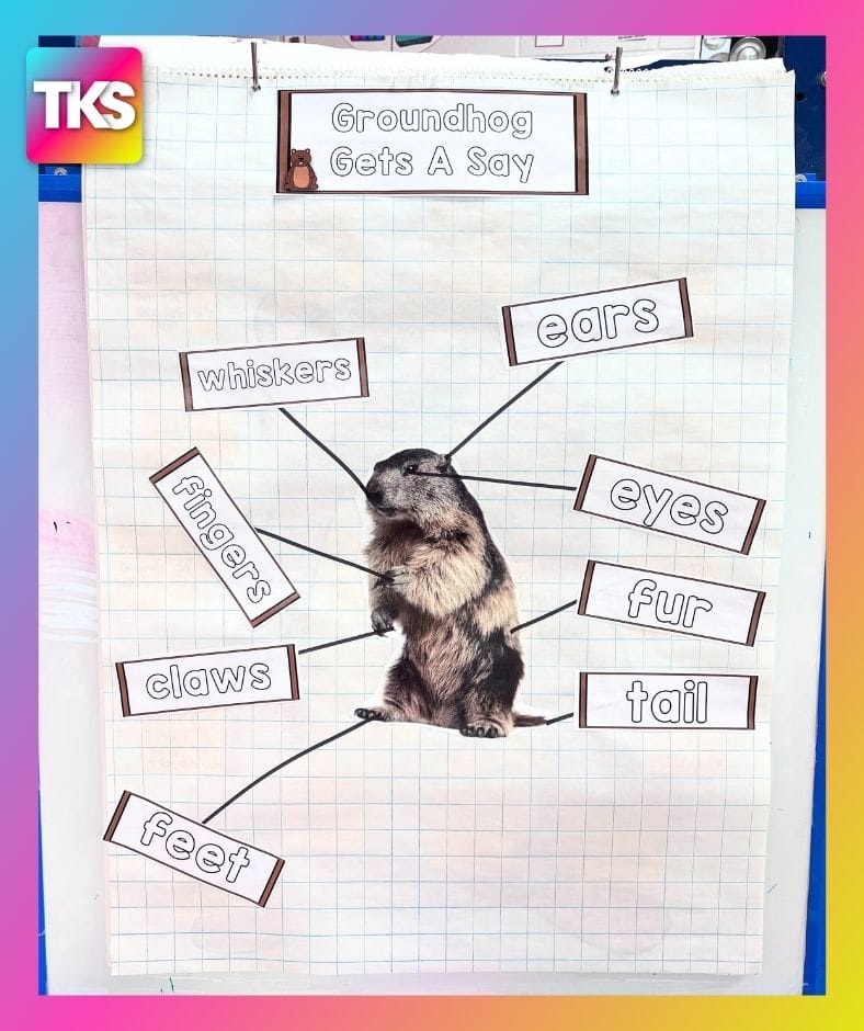 Kindergarten Groundhog Day Activities | The Kindergarten Smorgasboard