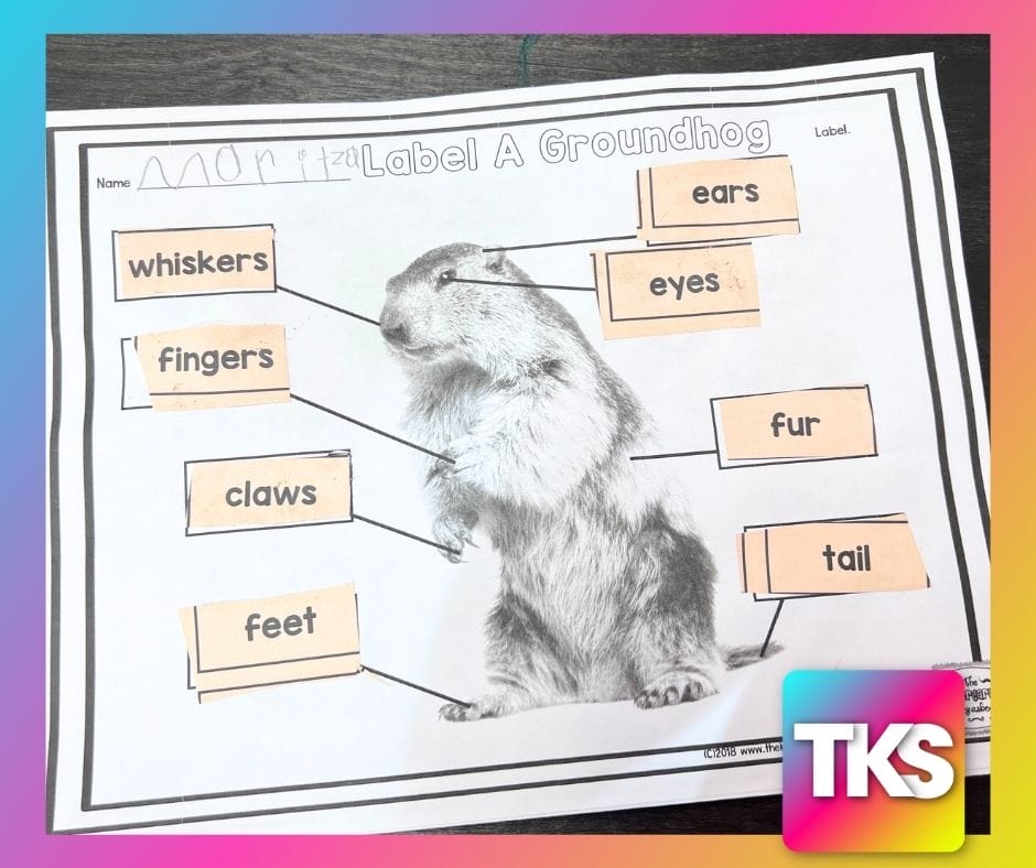Kindergarten Groundhog Day Activities | The Kindergarten Smorgasboard